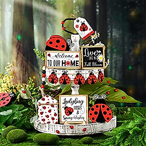 20 Pcs Ladybug Tiered Tray Decorations Spring Summer Ladybug Wooden Blocks Sign Ladybug Table Top Decor Red Farmhouse Ladybird for Home Kitchen Shelf Display Holiday Housewarming