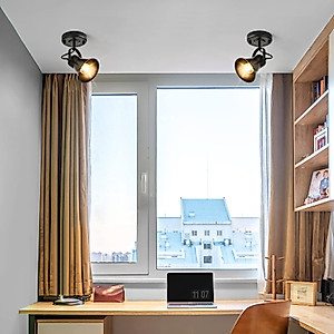 SEEBLEN Track Light Modern Ceiling Spot Lighting Indoor, Adjustable Wall Mount Accent Light,for Bedroom Living Room Hallway Kitchen Painting(2 Pack)