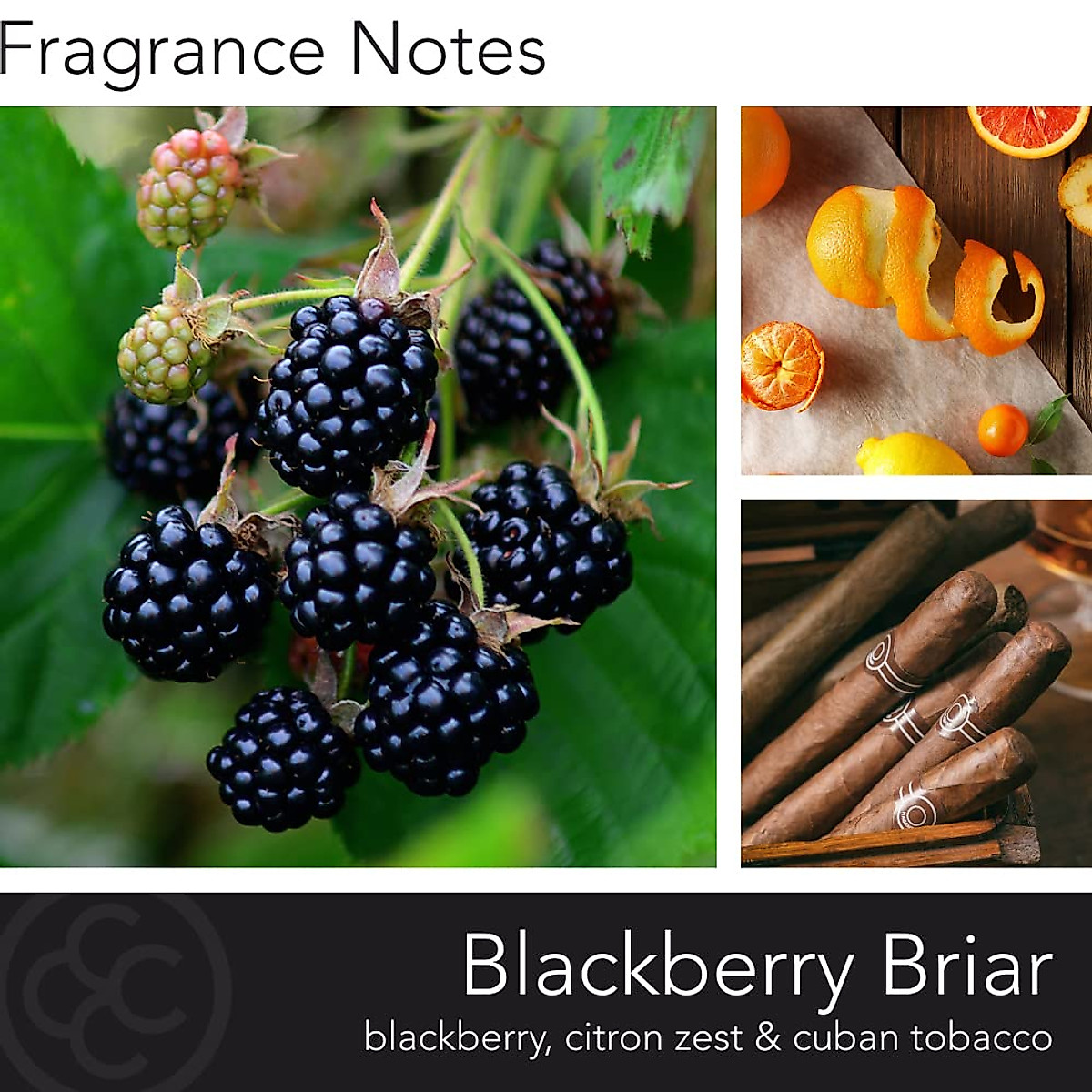 Colonial Candle BlackBerry Briar Scented Jar Candle | 2-Wick Natural Soy Blend Wax Candle for Home | Relaxing Aromatherapy Candle Infused with Essential Oils | M. Baker Apothecary Glass Jar Candle