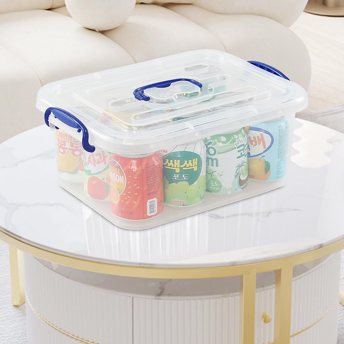 Asking 8 L Clear Storage Latch Box with Handle, 2-Pack Plastic Storage Boxes