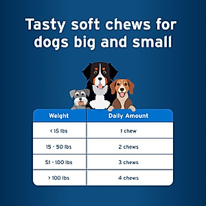 Pet Protect from The Makers of Advantage Vet-Formulated Daily Multivitamin for Dogs | 60 Chews with Vitamins