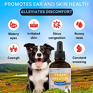 Yeast Infection Treatment for Dogs - Reduces Irritation & Inflammation - Soothing Itch Relief, Ear Infection Treatment