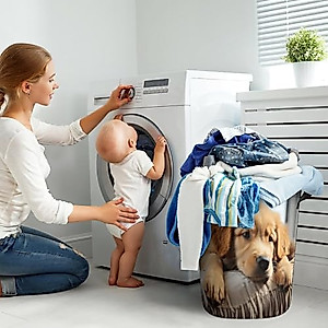 Laundry Hamper Lazy Dog Puppy Freestanding Laundry Basket Thickened Waterproof Collapsible Clothes Hamper Storage for Clothes Toys Dorm And Family