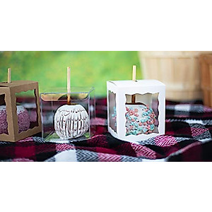 ClearBags 4" x 4" x 4 5/8" White Craft Paper Window Box with Attached PET Sheet(25 pieces) | Gift Box with Top Hole for Sticks | For Treats, Caramel Apple, Wedding or Party Favors | WGWG349