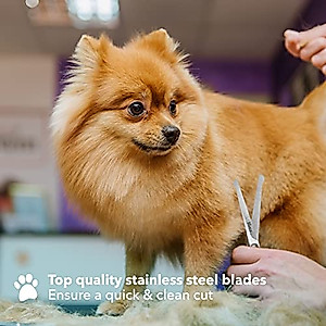 BOSHEL 2 Pc Dog Grooming Kit - Dog Grooming Scissors with Round Tips - 6" Micro Serrated Puppy Trimming Scissor For Face, Ear, Nose & Paw + 7" Pet Grooming Shear cutting more Hair - Dog Scissors Set