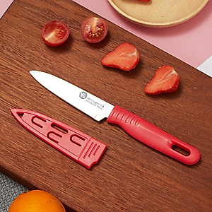 VSL VANSLENSON 4 Pieces Kitchen Knife Set Stainless Steel Blade, Paring knife for Fruit and Vegetable with Matching Covers Colorful Combo Lovely Pink Color Gift Set (2)