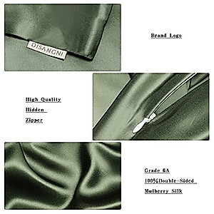 DISANGNI 100% Natural Mulberry Silk Pillow case for Hair and Skin with Hidden Zipper 22 Momme Both Sides Real Silk Pillow Case 1pc (Green, 2 Pack Standard Size 20"x26")