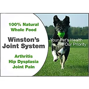 Winston Joint System - for Medium Dogs from 40-99 Pounds - 100% Natural Whole Food Supplement for Arthritis, Hip Dysplasia and Joint + Pain Relief - One Month Supply - Since 1992