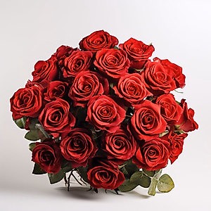 Red Roses- 50 Fresh Flowers- Beautiful Gift (OM)