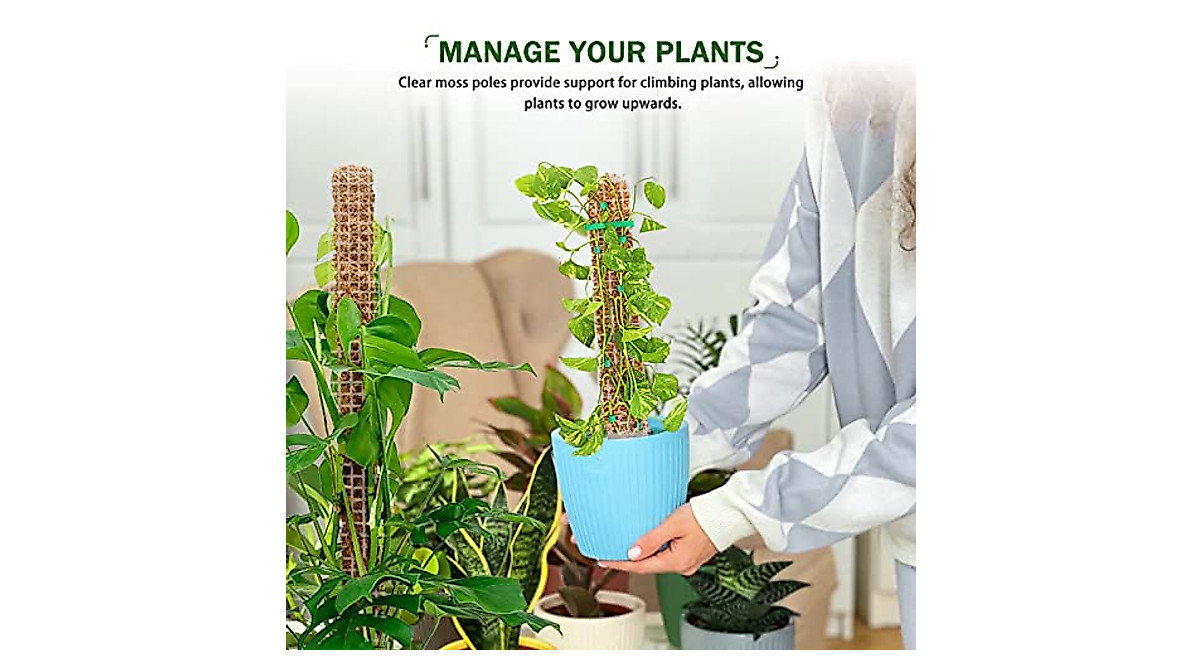 Gardzizy 24" Moss Poles - 6 Pack for Indoor Plants