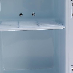 Portable Cooler Warmer Personal Refrigerator, Noiseless DC12V Cooling Warming 4L Mini Beauty Fridge for Office (US Plug)