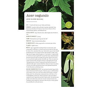 276 Edible Wild Plants of the United States and Canada: Berries, Roots, Nuts, Greens, Flowers, and Seeds in All or the Majority of the US and Canada