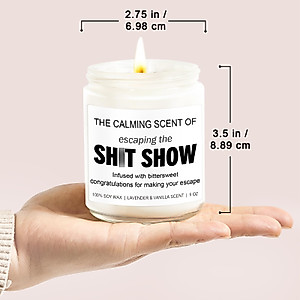 Younift Sarcastic Candles, Farewell Gifts for Coworkers, Goodbye Gifts, Coworker Leaving Gifts for Women, Men, Going Away Gifts for Coworker, Leaving Job Gifts, Moving Away Gifts for Friends