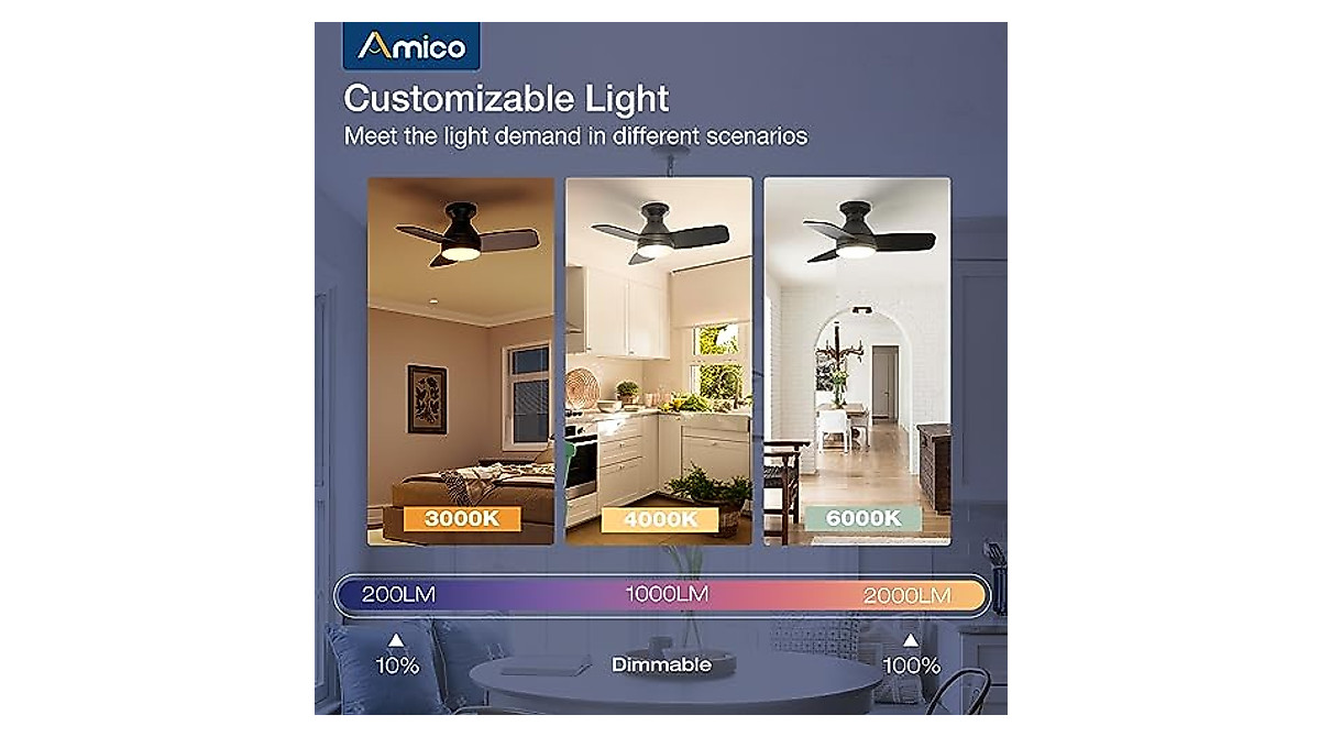 Amico 30" Ceiling Fan with Lights & Remote Control