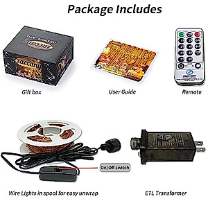 Outlet！ZAECANY LED String Lights 99ft 300 LEDs Fairy String Lights with Switch/Timer, Indoor/Outdoor Copper String Lights with Remote, for Birthday, Wedding, Christmas Decor,Plug in/8 Modes Warm White