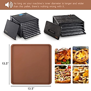 Hlimior 6PCS Silicone Dehydrator Trays with Edge for 14" x 14" Trays, Compatible with Excalibur Dehydrator, Multi-purpose Reusable for Jerky, Fruit, Meat, Herbs, Vegetables, Crackers