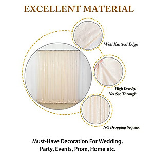 ShiDianYi 4FTX6FT-Ivory-SEQUIN Photo Backdrop, Beige Wedding Photo Booth, Photography Background Ivory Sequin Backdrop Curtain Glitter Backdrop for Parties