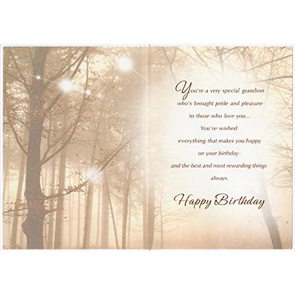 Designer Greetings I'm Glad: Tall Trees in Orange Foil Square Frame Grandson Birthday Card