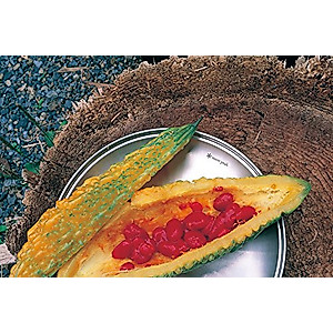 Snow Peak Tableware Plate, TW-034, Stainless Steel, Lightweight for Camping Everyday Use, Made in Japan, Lifetime Product Guarantee