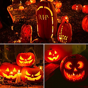 Halloween Pumpkin Carving Tools Kit - 11 PCS Professional Heavy Duty Stainless Steel Pumpkin Carving Tools with Carrying Case for Kids Adults Sculpting Jack-O-Lanterns