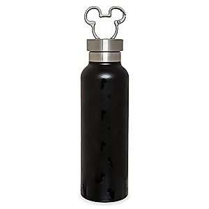 Disney Mickey Mouse Stainless Steel Water Bottle with Clip