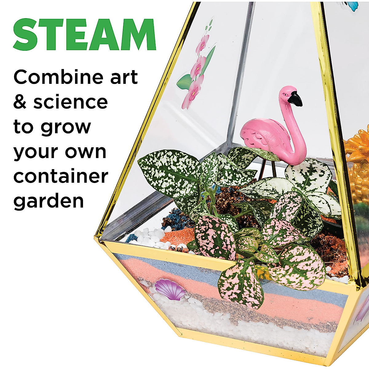Creativity for Kids Tropical Terrarium Craft Kit - Kids Terrarium Kit for Ages 7+, STEAM Activity