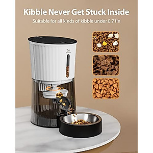 Petory Timed Automatic Cat Feeders - 4L Programable Dry Food Dispenser for Cats and Small Medium Dogs 6 Meals with Desiccant Bag Dual Power Supply 10S Voice Recorder