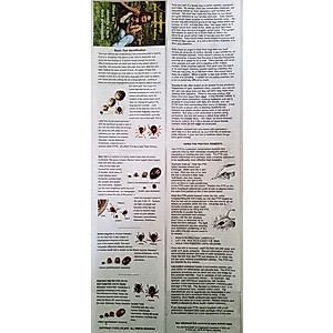 Protick Remedy 6-Pak - Tick Remover for Cats Dogs Horses Humans and Pets