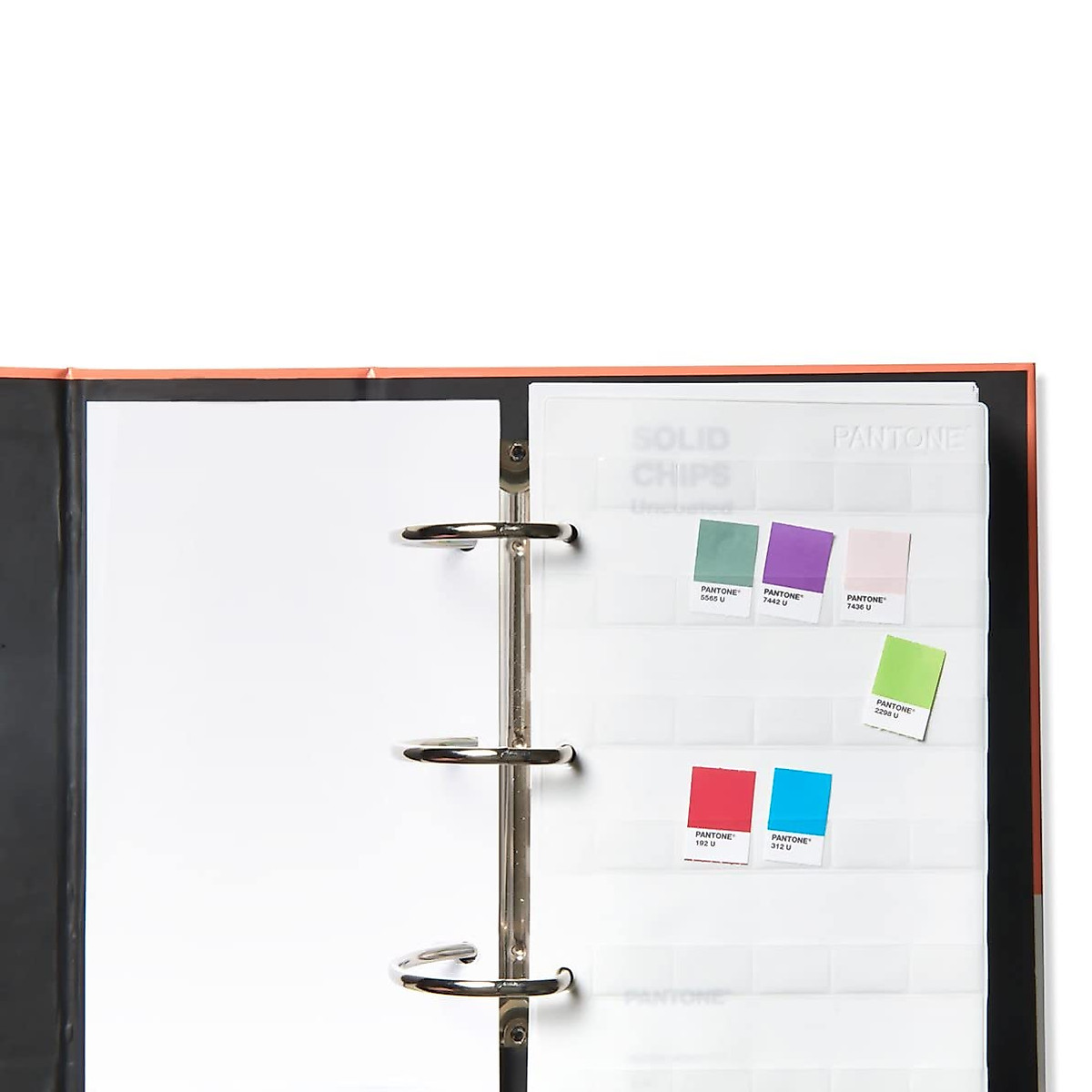 Pantone Solid Chips Coated & Uncoated | Shareable & Versatile Spot Color Chips for Graphics and Prints | GP1606B