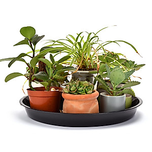 GRESPRI 18 Inches Sturdy Black Plant Saucers 6 Packs Heavy-Duty Large Plant Trays, Durable Plant Pot Containers, Plastic Plant Drip Trays for Indoor/Outdoor Plants. (16.2 inches in Base)
