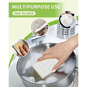 Biodegradable Natural Kitchen Sponge 12Pack, Compostable Cellulose and Coconut Walnut Scrubber Sponge