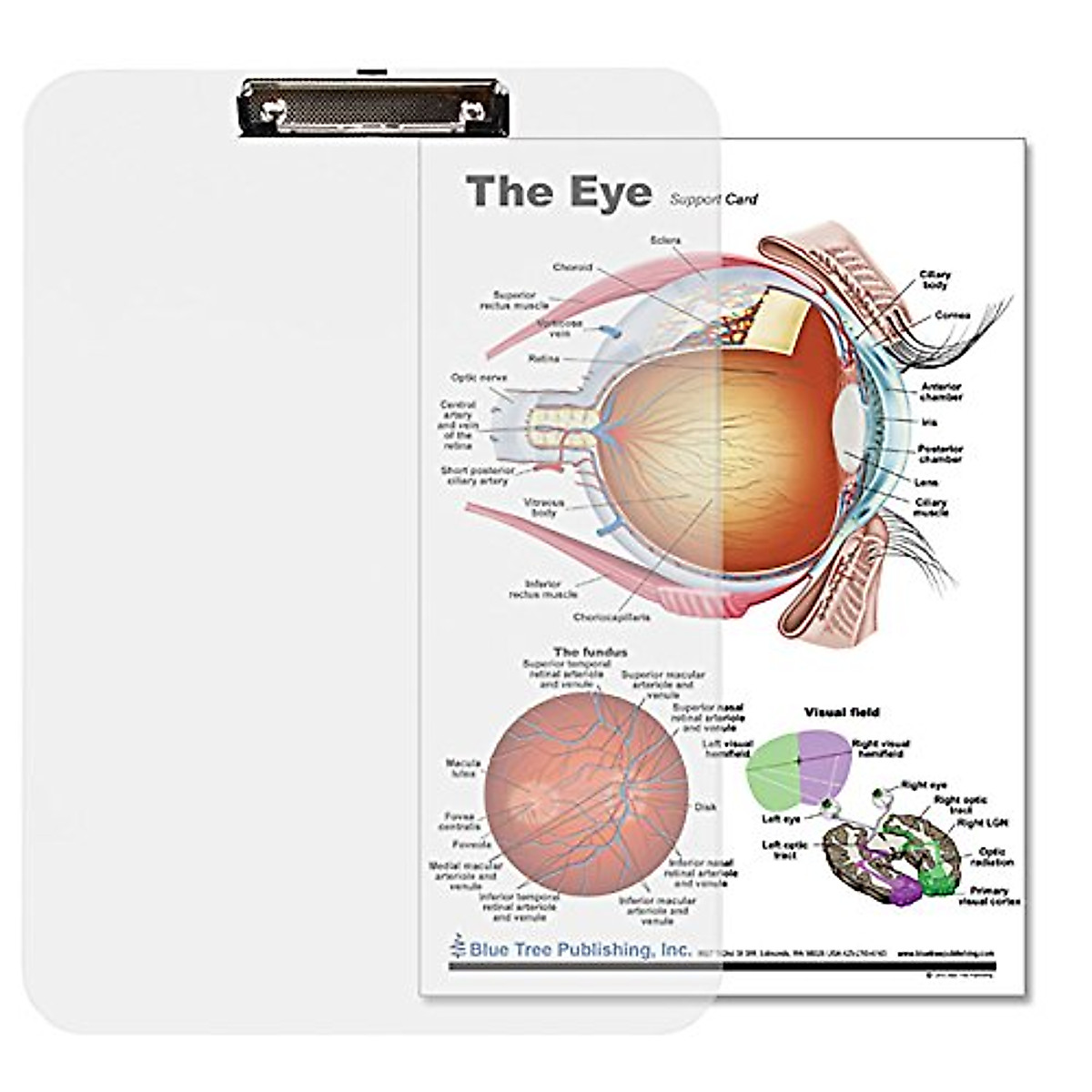 Eye Insert clipboard