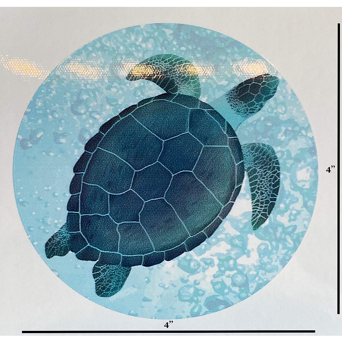 Retractable Screen Door Decals (Stickers) - 6 per Package - Keep Children Safe - Alert Birds, Dogs, Kids - Warn, Protect, Window Safety - Sea Turtles