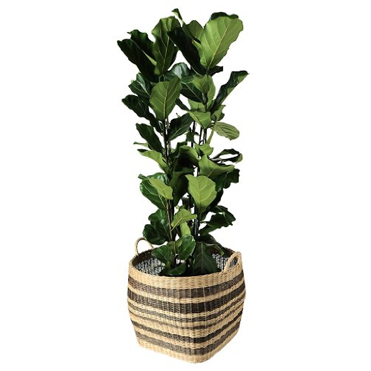 KOUBOO 1060042 Large Striped Wicker Storage Basket, 26.5" x 26.5" x 27.5", Beige/Black