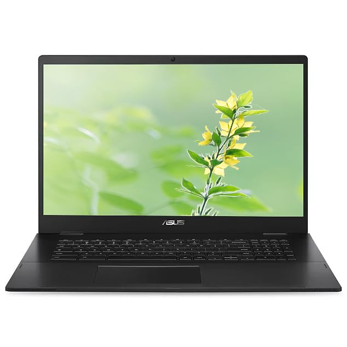 Asus 2024 17" FHD IPS Chromebook, Intel Celeron Processor Up to 2.80GHz, 4GB Ram, 128GB Storage, Super-Fast WiFi, Full Size Keyboard, Chrome OS, Dale Black(Renewed)