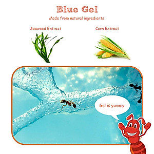 NAVADEAL Ant Farm Castle 2.0 with Connecting Tube, Ant Habitat Science Learning Kit, Best STEM 2021 Educational Kids Toy, Study Insect Behavior at Home & School, Plant Based Blue Gel 3D Maze Ecosystem