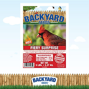 Backyard Seeds Fiery Surprise Hot Pepper Flavored Bird Seed Blend 5 Pounds