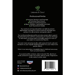 Professional Perlite | Large 2.2 Quarts | Medium Grade for Container and Garden Plants | pH Neutral Lightweight Soil Additive | Made in USA