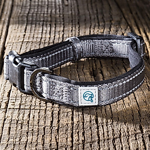 Embark Adventure Dog Collar with Soft Padded Neck, Matching Set with The Adventure Leash and Harness, Pet Collars for Dogs & Most Breeds - Dog Collar for Small Dogs (Small Dog Collars, Black)