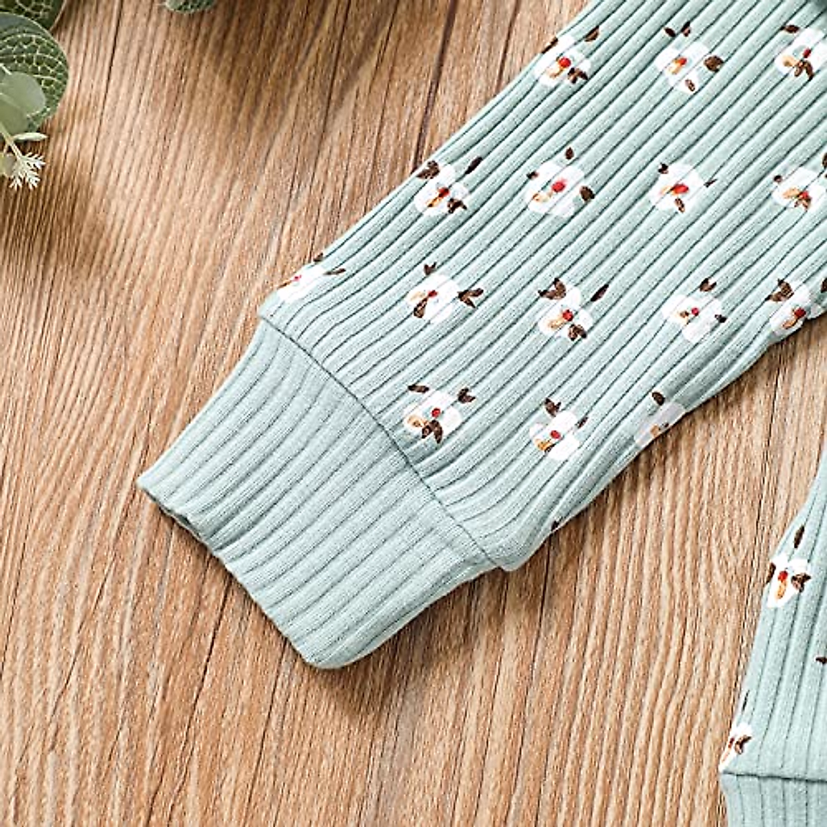 Kids Baby Girl Floral Clothes Set Ruffle Long Sleeve Pullover Tops + Bowknot Pants 2PCS Girls Outfits (Green, 2-3T)