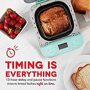 Dash Everyday Stainless Steel Bread Maker, Up to 1.5lb Loaf, Programmable, 12 Settings + Gluten Free & Automatic Filling Dispenser - Aqua
