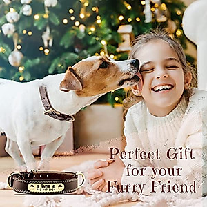 Personalized Dog Collar - Custom Leather Dog Collar with Engravable Nameplate - Durable Name Tag Collar - Customizable Dog Collar - Comfortable ID Collars for Small, Medium, Large Dogs (Small)