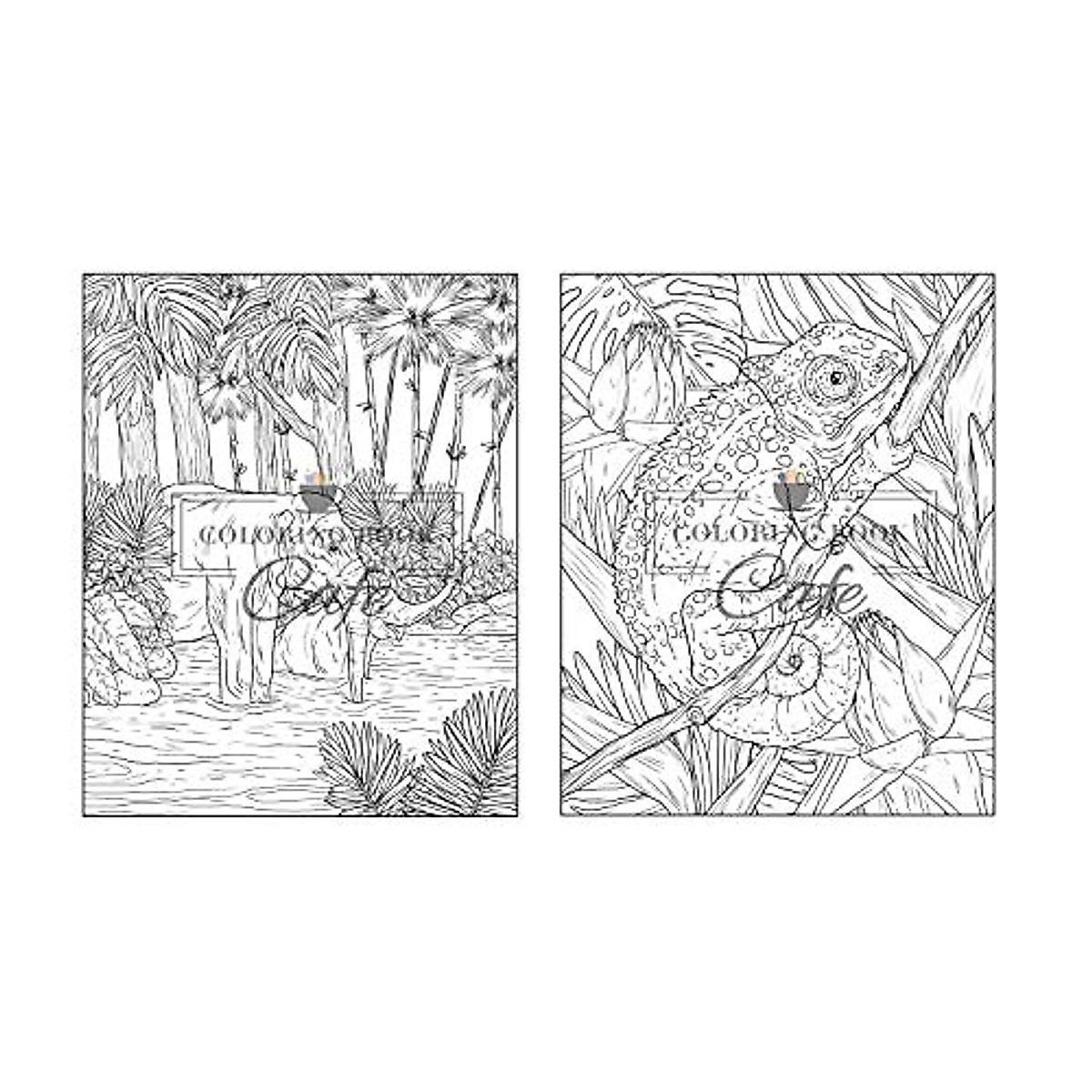 100 Wildlife Scenes: An Adult Coloring Book Featuring 100 Most Beautiful Wildlife Scenes with Animals, Birds and Flowers from Oceans, Jungles, Forests and Savannas