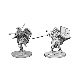 WizKids Pathfinder: Deep Cuts Unpainted Miniatures: Human Female Paladin