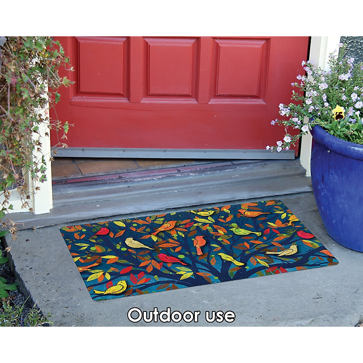 Toland Home Garden 800435 Colorful Birds Bird Door Mat 18x30 Inch Fall Outdoor Doormat for Entryway Indoor Entrance