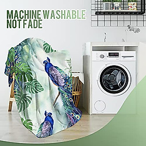 Levens Peacock Feathers Throw Blanket Gifts for Women Girls, Animals Decor for Couch Bed Sofa Travelling Camping, Birthday Christmas Soft Cozy Lightweight Blankets for Kids Adults 50"x60"