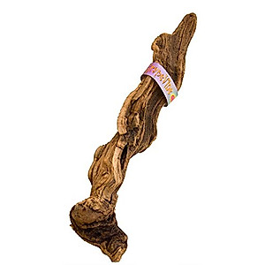 T-Rex Reptile Terrarium Decor - Grapevine Wood Branch Small (Medium)
