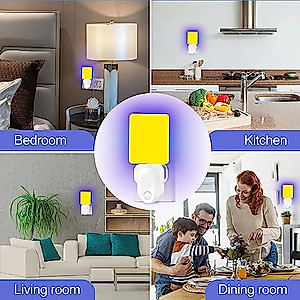 Flying Insect Trap Plug in, Indoor Electric Fly Insect Trap Gnat Killer for House Home, Catch Fruit Flies, Mosquitoes, Gnats, Moths & Other Insects with UV Light and 10 Pcs Sticky Pads, 2 Pack