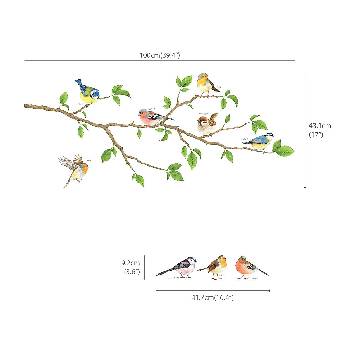 DECOWALL DWL-1804N Garden Birds on Tree Branch Kids Wall Stickers Wall Decals Peel and Stick Removable Wall Stickers for Kids Nursery Bedroom Living Room décor