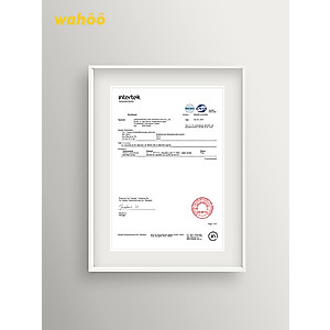 LANON 5 mil Vitamin-E Coated Latex Disposable Gloves, Food-Contact Grade, Fully Textured, Green, Small